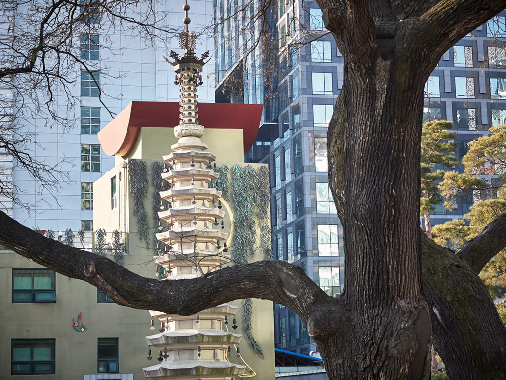 PERSONAL WORK – Patsy McEnroe