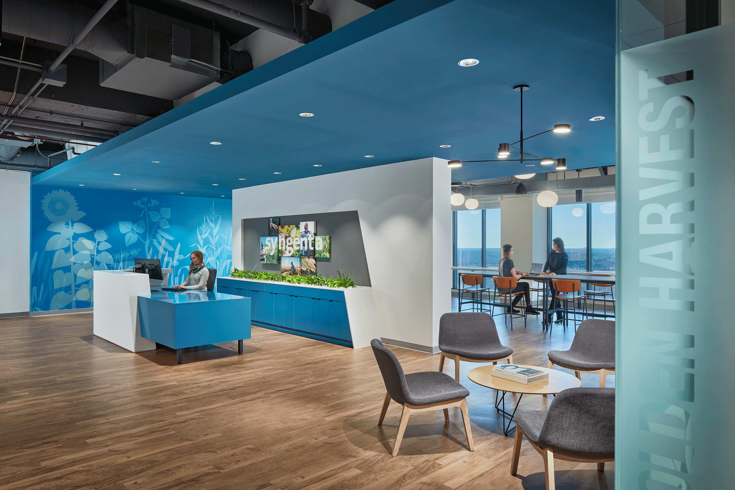 Patsy McEnroe – CAPTURE THE MOMENT