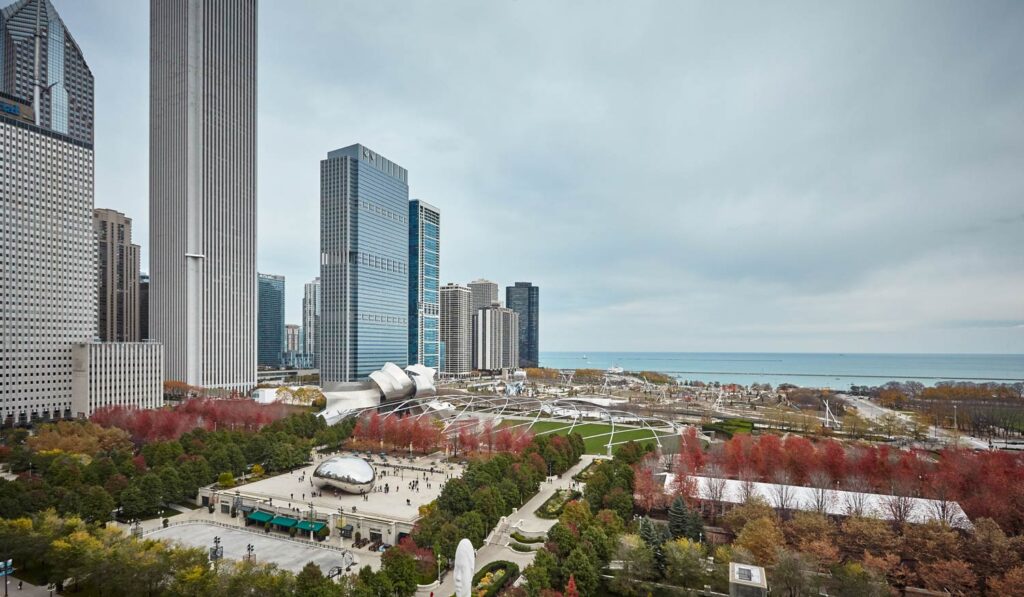 LANDSCAPE – Patsy McEnroe